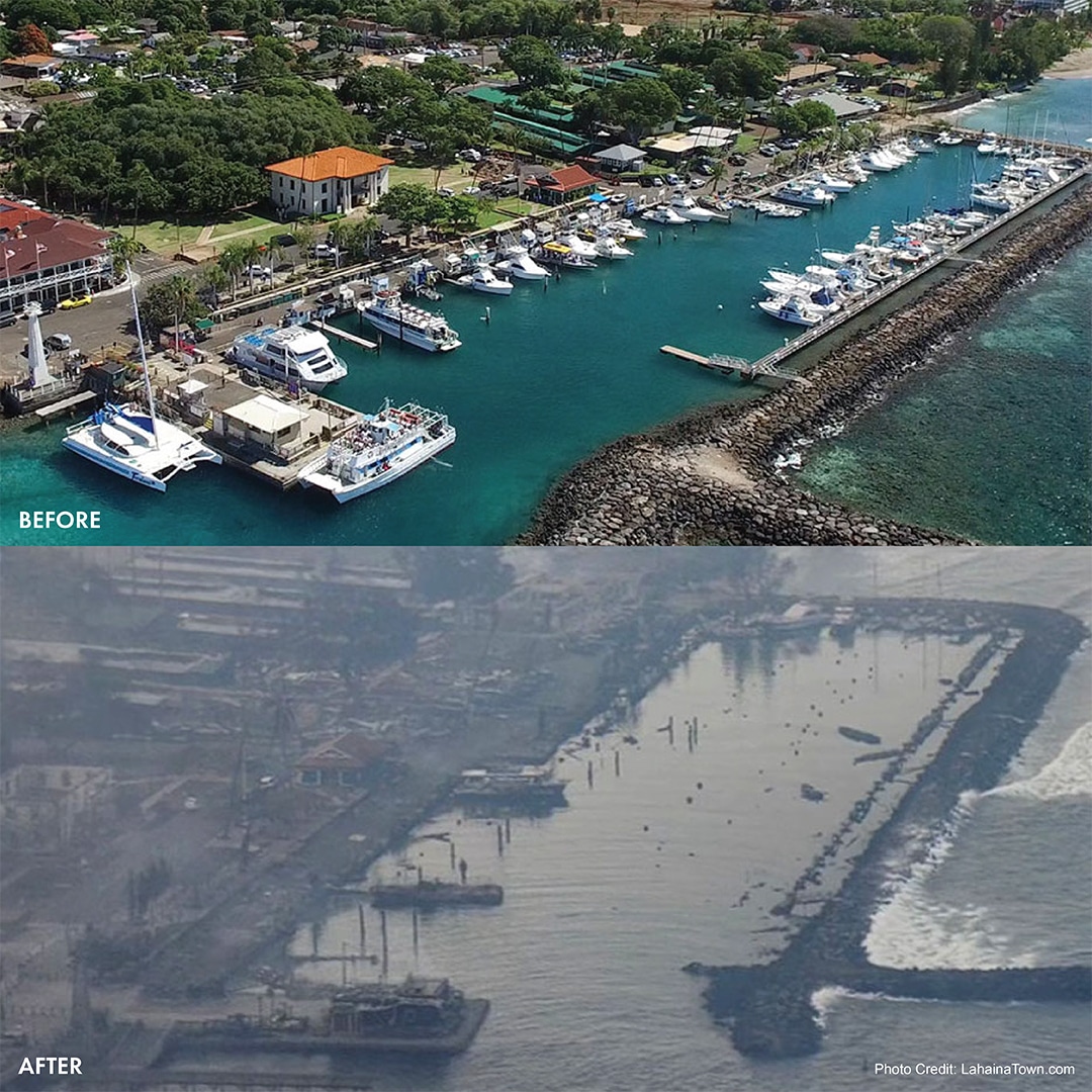 Maui Disaster Response Funds | Pacific Whale Foundation