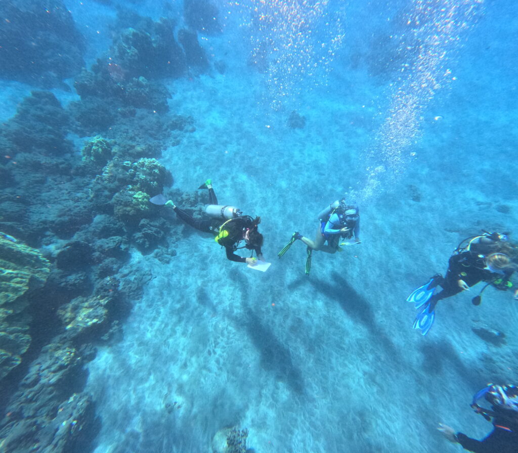 Mauka to Makai - Pacific Whale Foundation