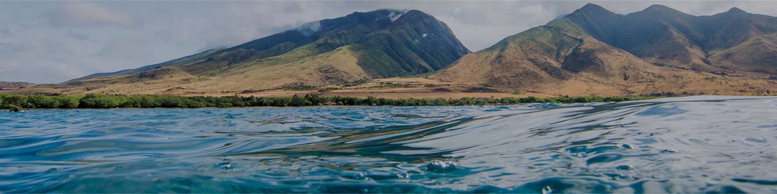 Main Office Location | Pacific Whale Foundation (PWF)