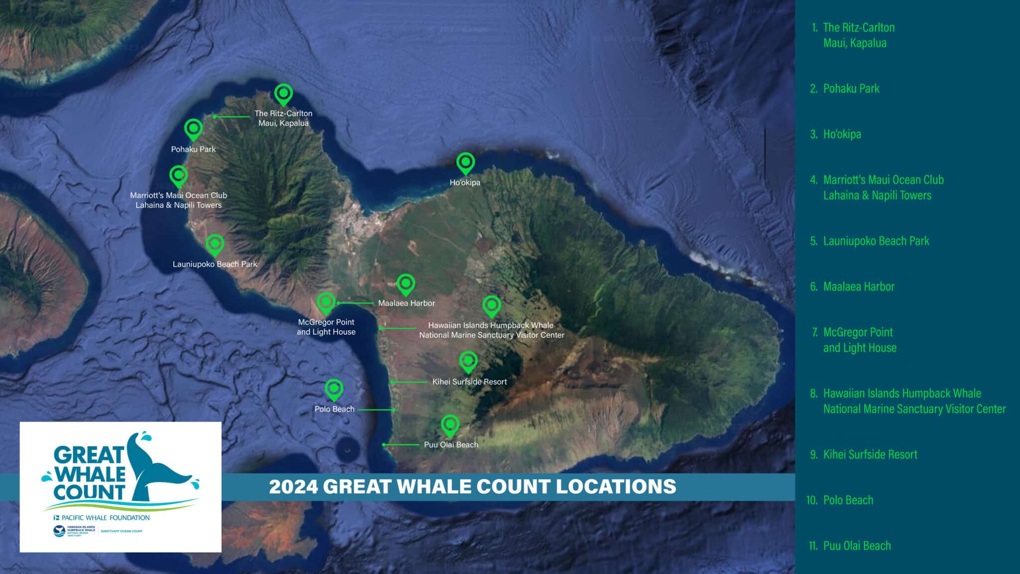 The Latest Great Whale Count | Pacific Whale Foundation