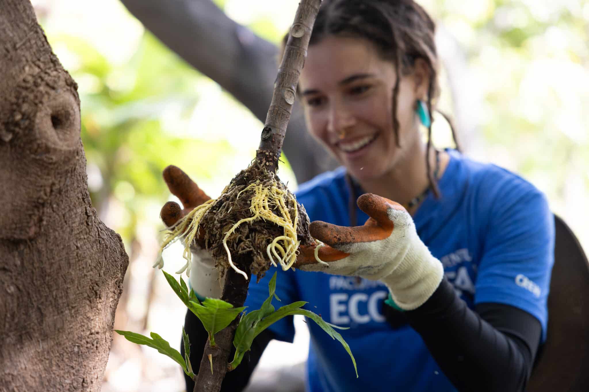 Whale & Dolphin Tracker Live Sightings Map | PWF