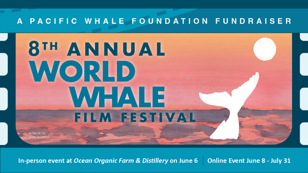 Pacific Whale Foundation | Whale Conservation Organization