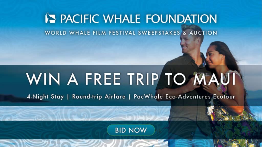 Pacific Whale Foundation | Whale Conservation Organization