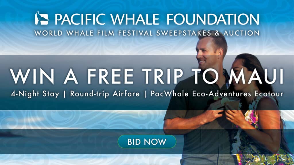 Pacific Whale Foundation | Whale Conservation Organization