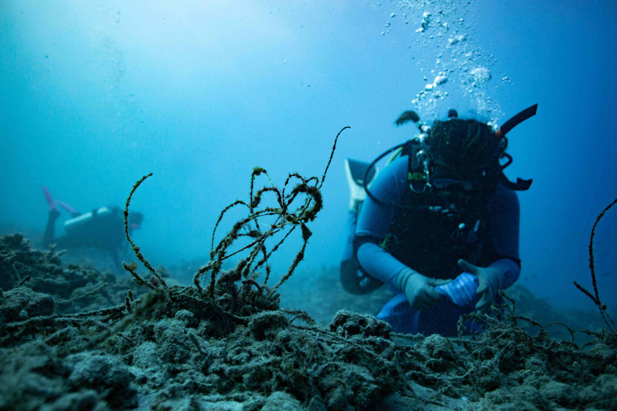 Reef Cleanup Dives | Pacific Whale Foundation
