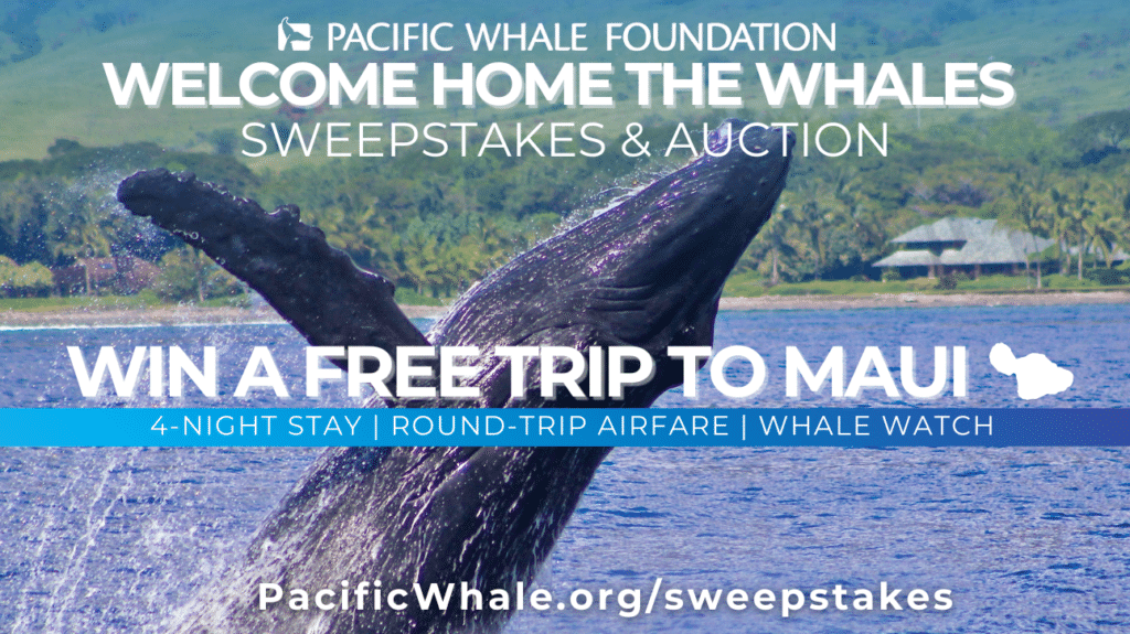 Pacific Whale Foundation | Whale Conservation Organization