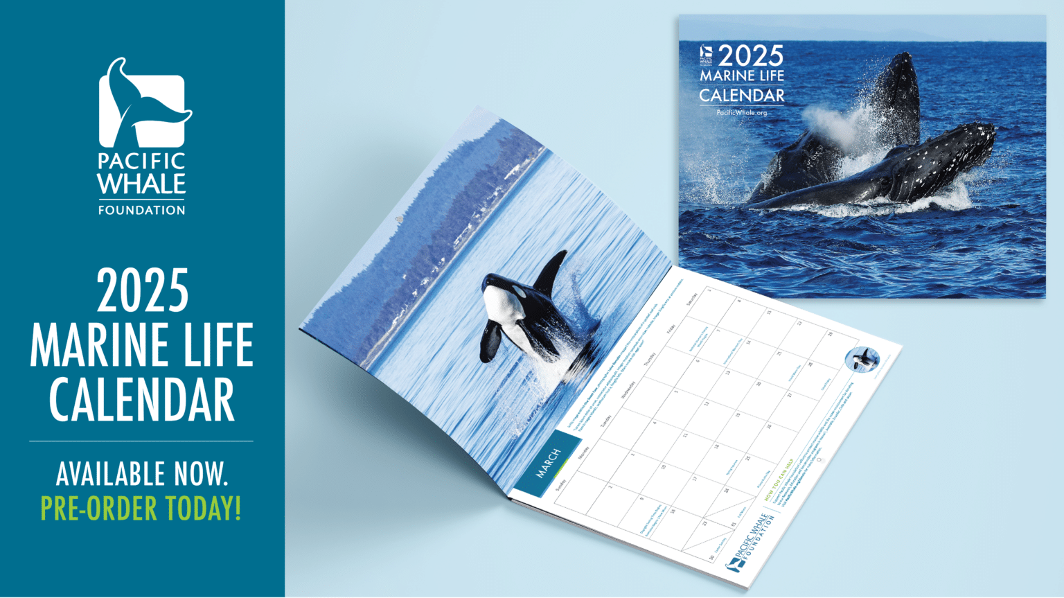 Pacific Whale Foundation | Whale Conservation Organization