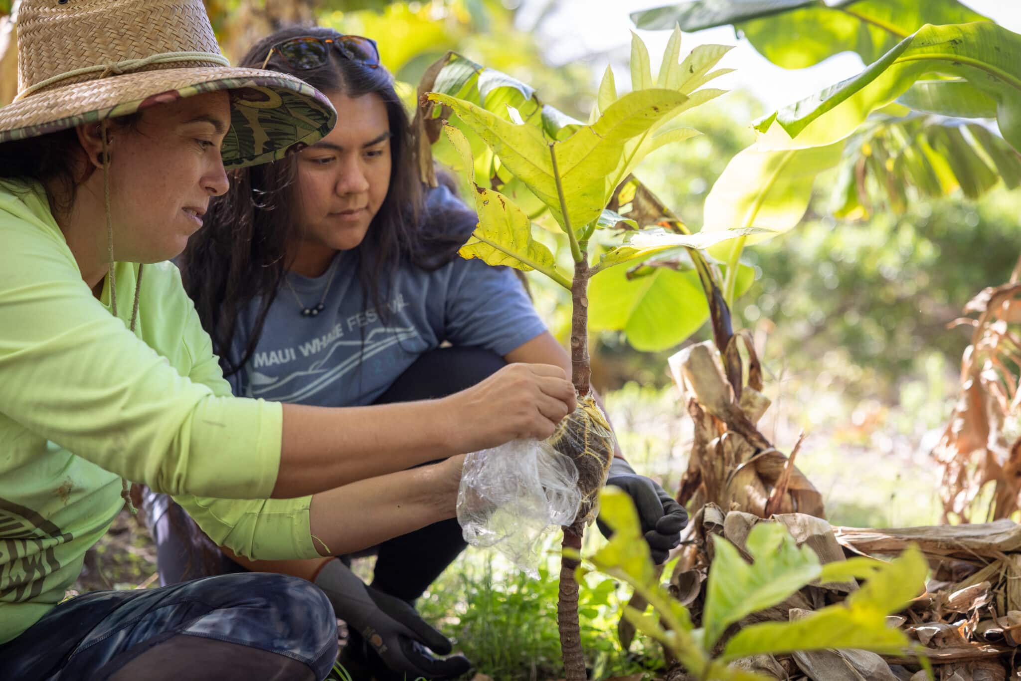 Maui Community Outreach & Relief Programs | PWF