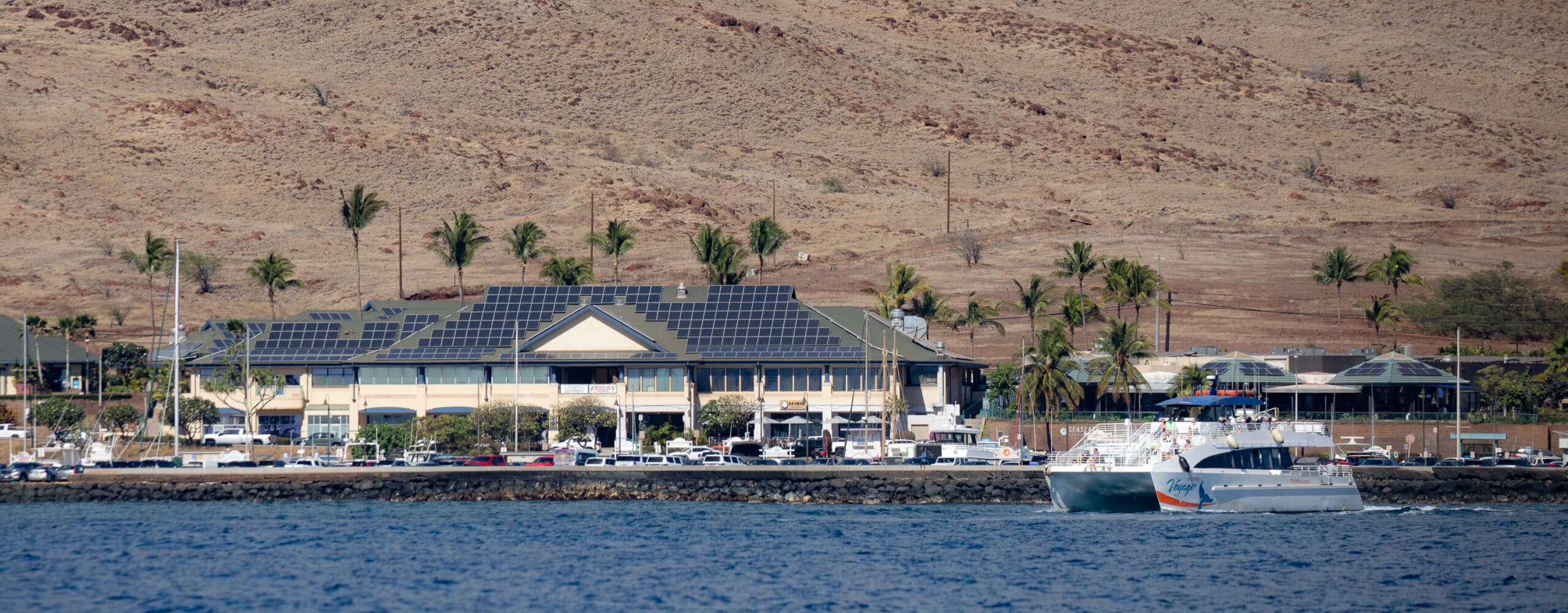 Main Office Location | Pacific Whale Foundation (PWF)