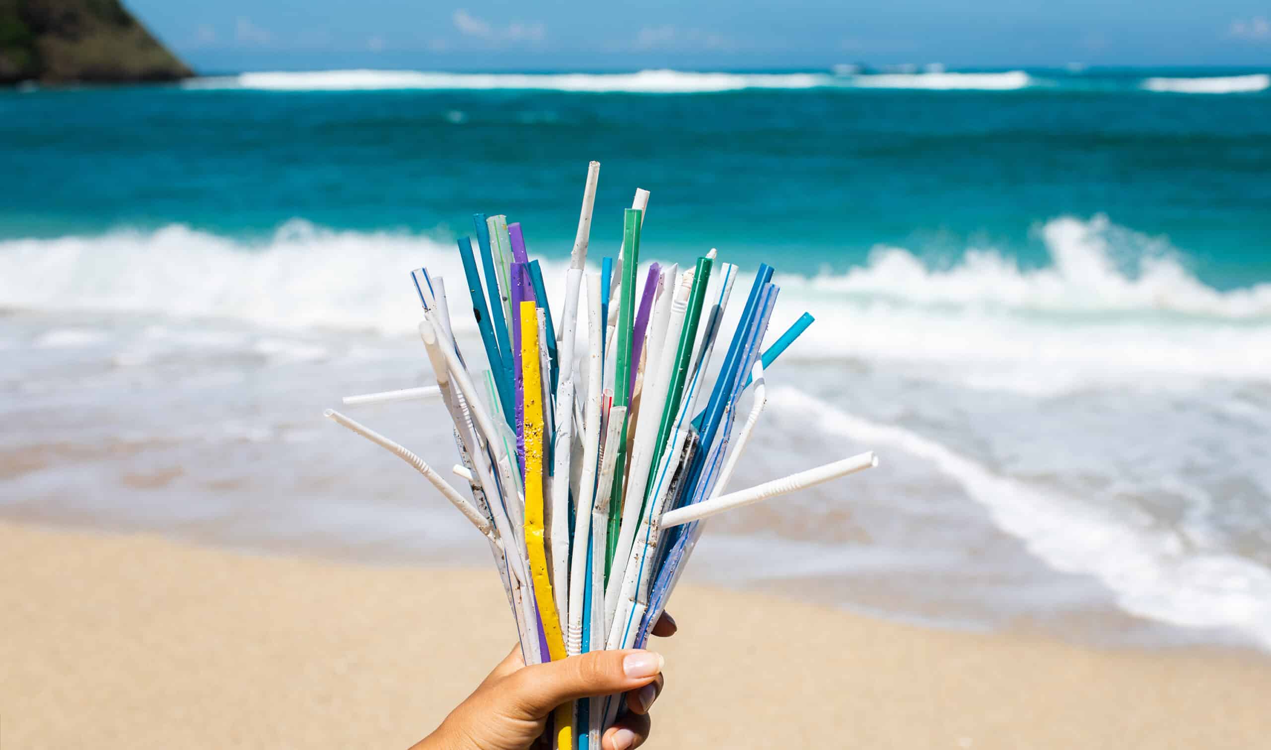 The Last Straw | Pacific Whale Foundation