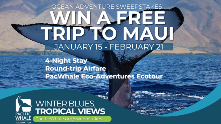 Pacific Whale Foundation | Whale Conservation Organization