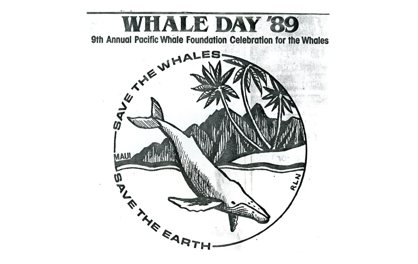 Celebrating Resilience this World Whale Day | Pacific Whale Foundation