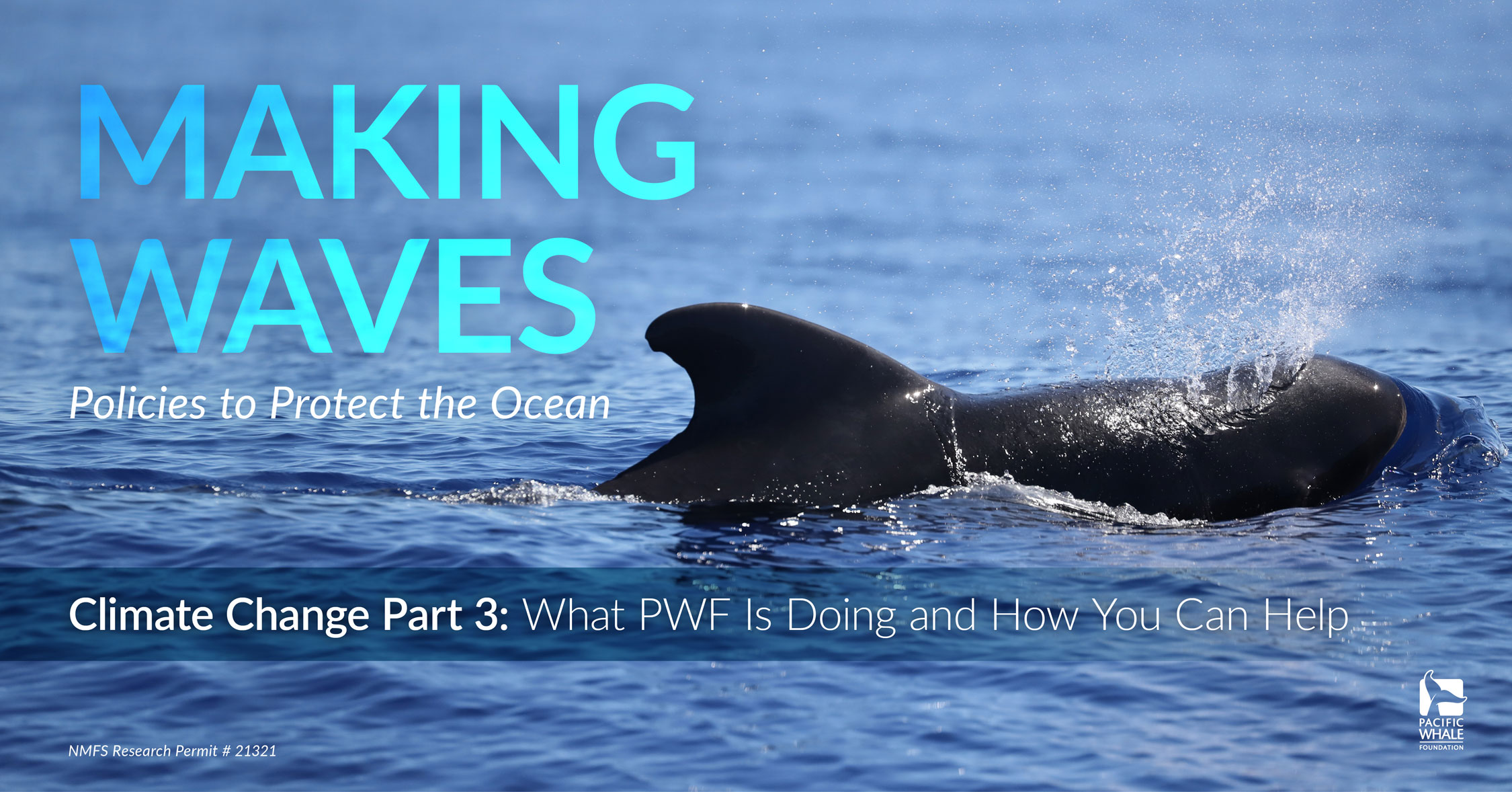 MAKING WAVES – CLIMATE CHANGE PART 3: WHAT PWF IS DOING AND HOW YOU CAN ...