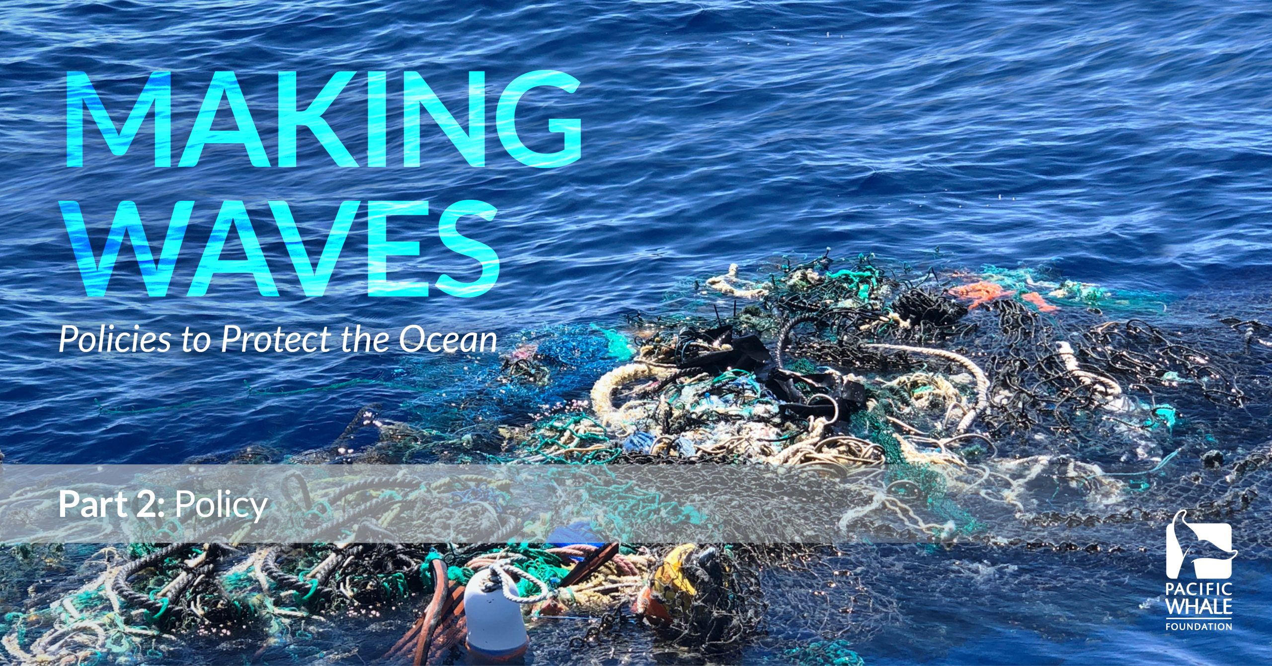MAKING WAVES – FISHERIES INTERACTIONS PART 2: POLICY | Pacific Whale ...