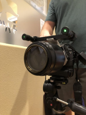 Photogrammetry explained: a non-invasive way to obtain marine mammal ...