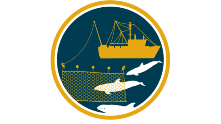 Why is Bycatch a Problem? | Pacific Whale Foundation