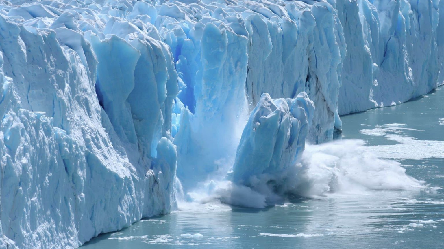 Pacific Whale Foundation | Whale Conservation Organization