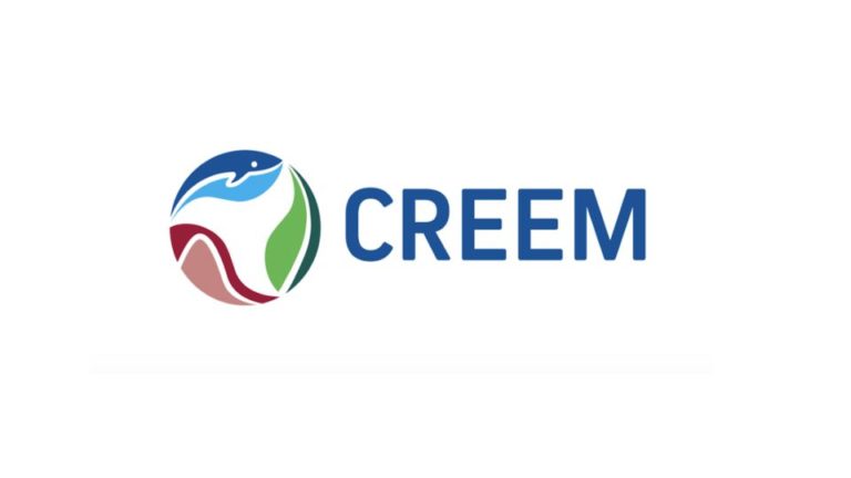 Bottlenose Dolphins | Pacific Whale Foundation