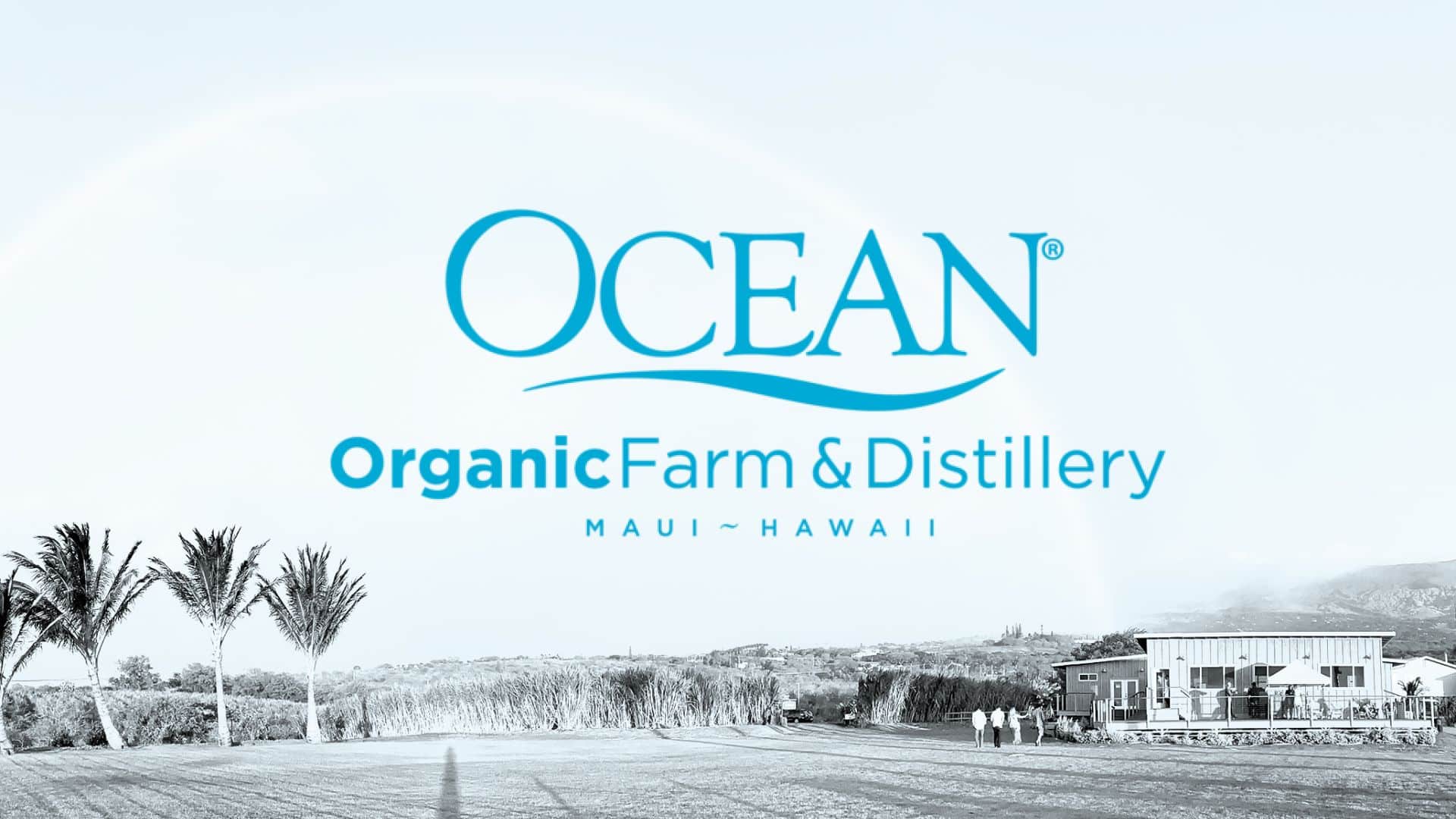 Our Partnerships | Pacific Whale Foundation (PWF)