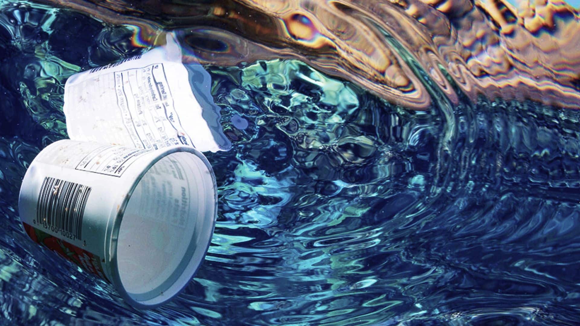 The Last Straw | Pacific Whale Foundation