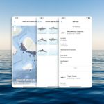 Whale & Dolphin Tracker Live Sightings Map | PWF