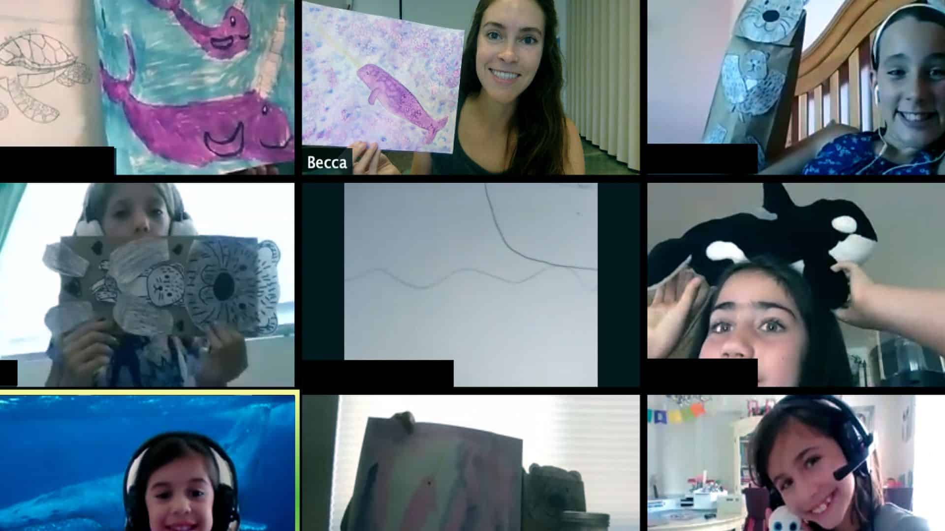 Virtual Ocean & Marine Life Field Trips | PWF